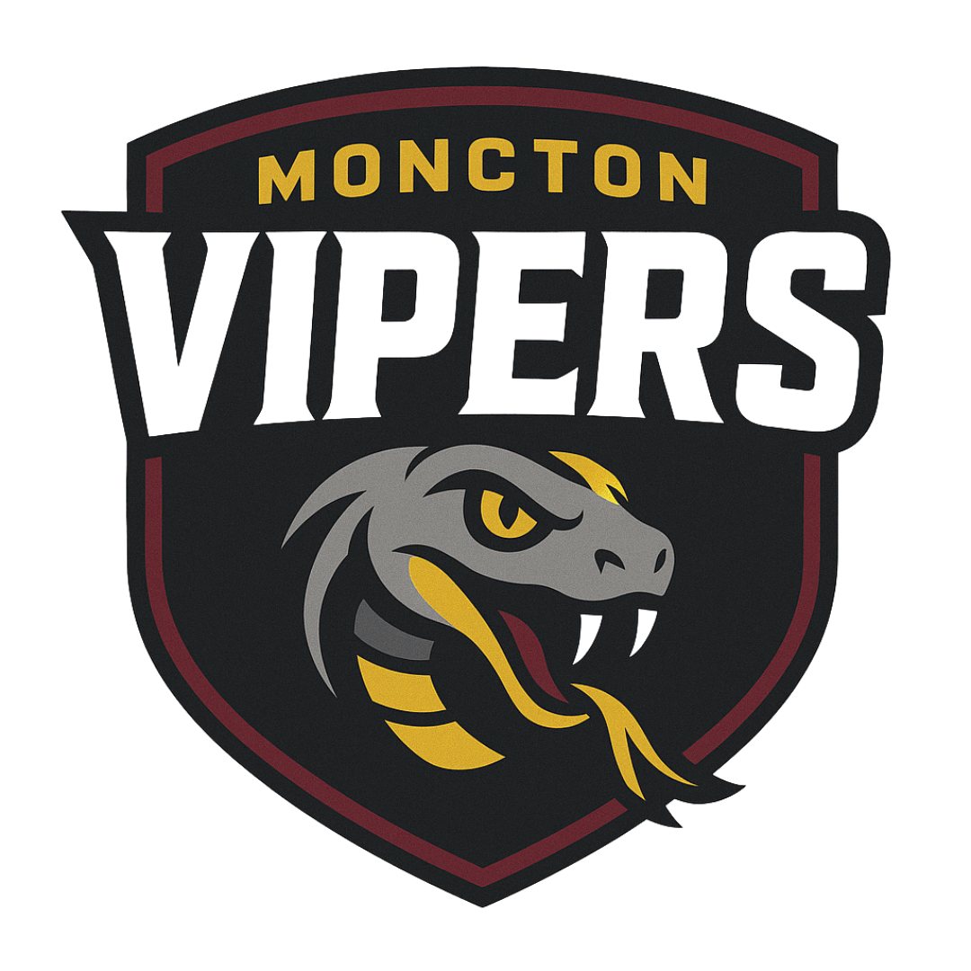 Vipers Hockey Logo Hockey Very Large Vintage Hockey Patch Westchester